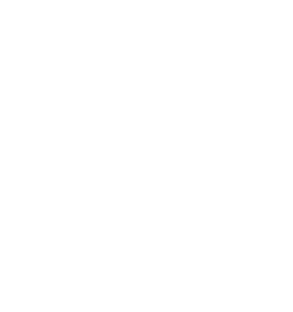 DAD S5 T1 - Neutronic